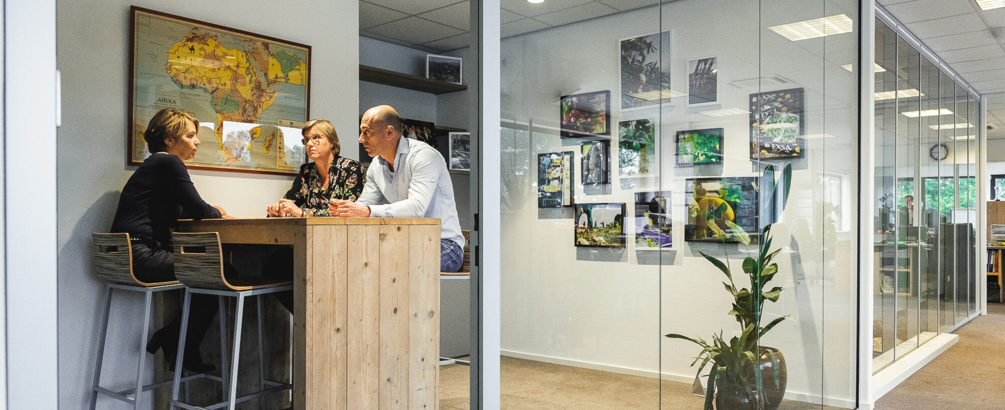 Meet the experts - EXSA Europe