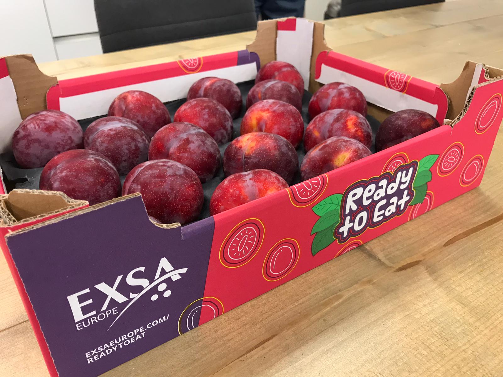 Ready to Eat - EXSA Europe