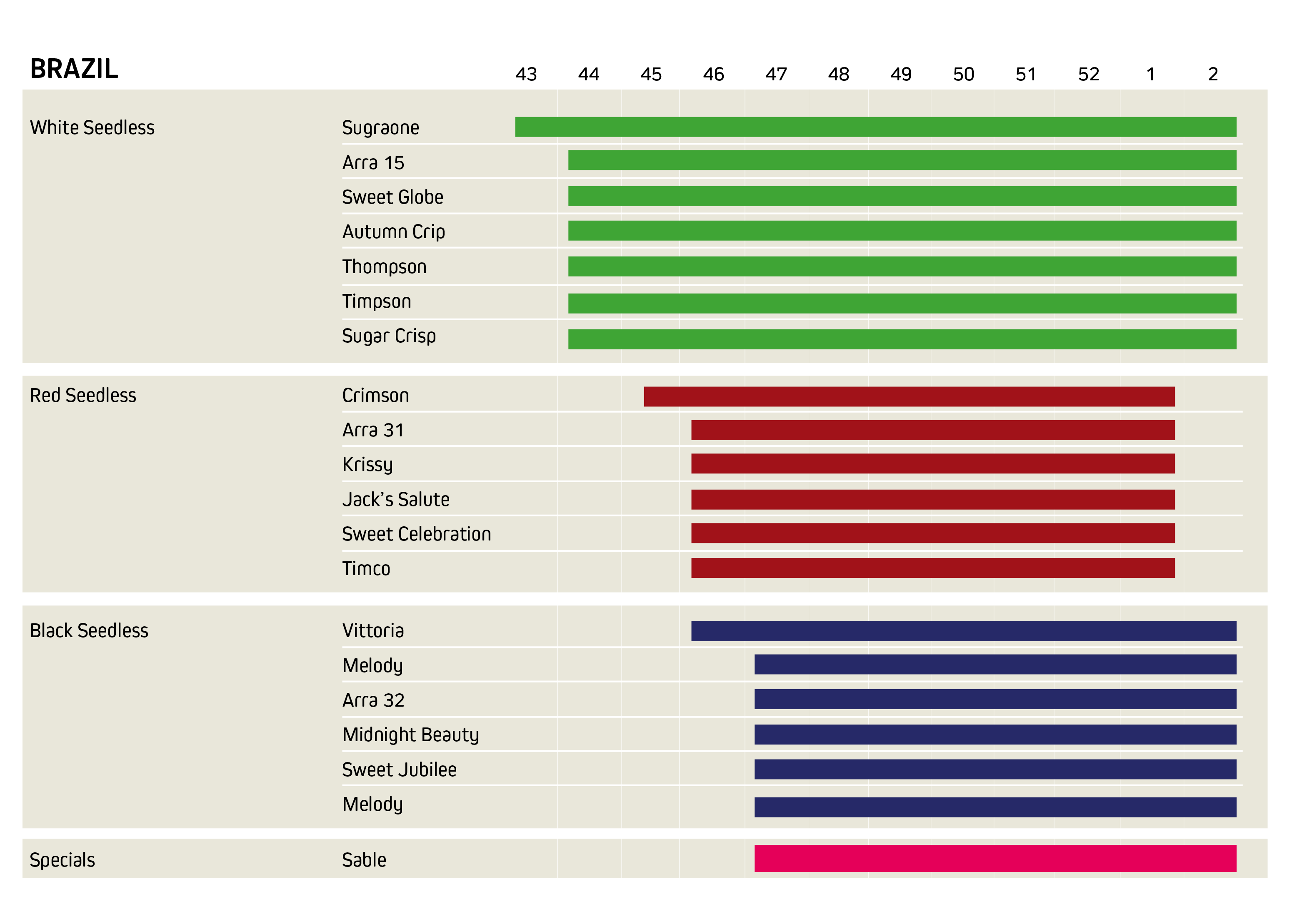 Brazil | EXSA Europe